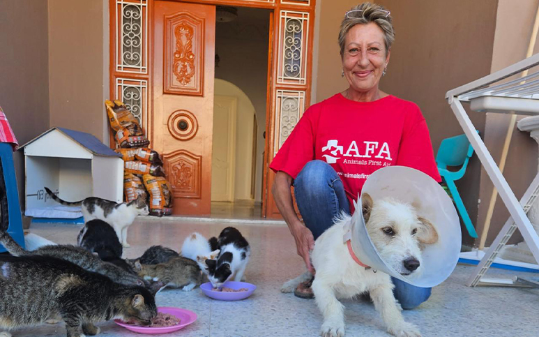 Animals First Aid (AFA) - Caring for all, leaving no one behind.